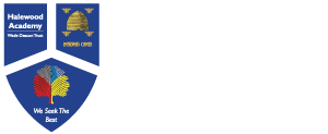 Halewood Academy - Contact